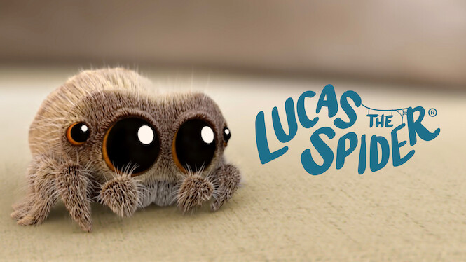 Lucas the Spider (2023) - Netflix | Flixable